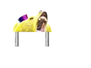 The Real Fredbear/Gallery | Dayshift at Freddy's Wikia | Fandom