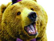 The Real Fredbear | Dayshift at Freddy's Wikia | Fandom