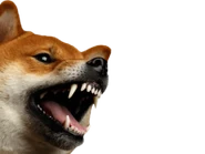 Doggo | Dayshift at Freddy's Wikia | Fandom