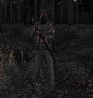 Woodland Bandit Clothing | Dayz Breaking point Wiki | Fandom