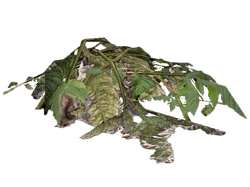 Plant material | DayZ Standalone Wiki | Fandom