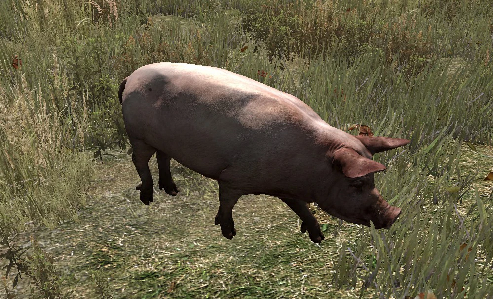 Pig | DayZ Standalone Wiki | Fandom