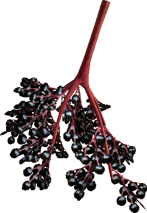 Food | DayZ Standalone Wiki | Fandom