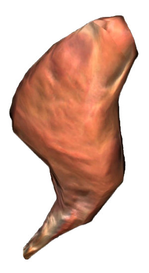 Raw Rabbit Leg | DayZ Standalone Wiki | Fandom