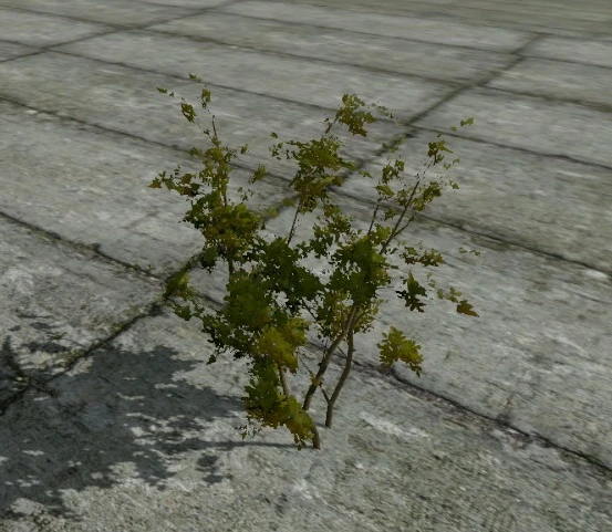 Berry picking | DayZ Standalone Wiki | Fandom