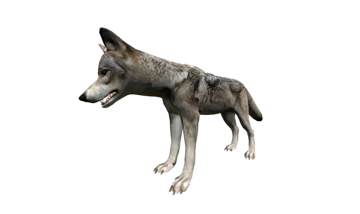 Wolf | DayZ Standalone Wiki | Fandom