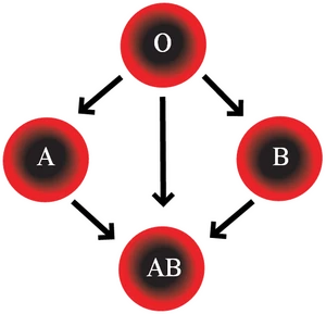 Blood | DayZ Standalone Wiki | Fandom