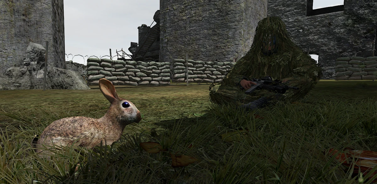 Mod:Rabbit - DayZ Wiki