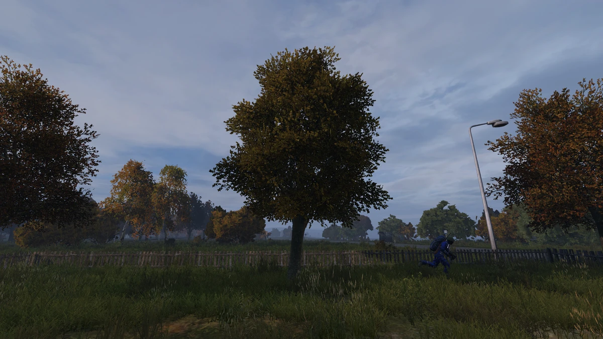 Plum tree - DayZ Wiki