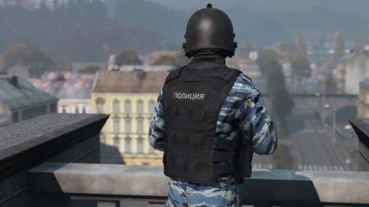 Chernarus Police - DayZ Wiki