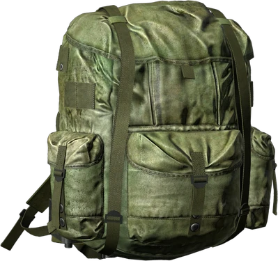 Field Backpack - DayZ Wiki