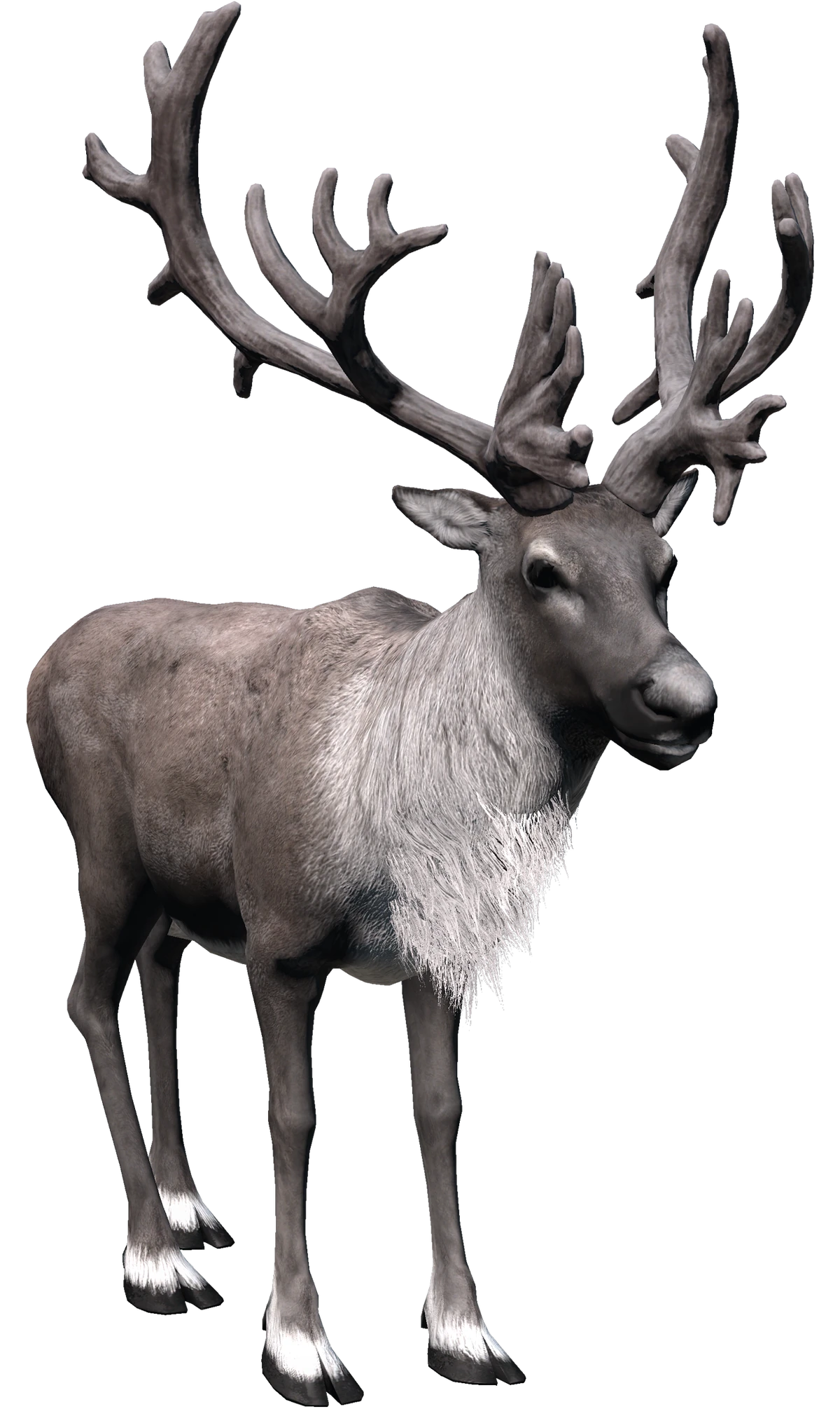 Reindeer - DayZ Wiki