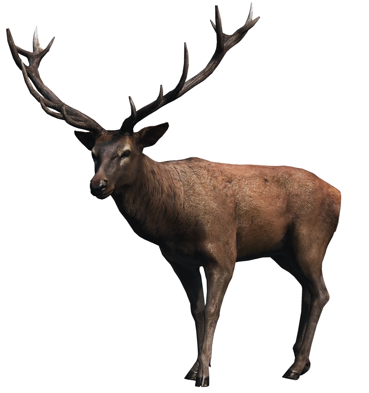 Stag - DayZ Wiki