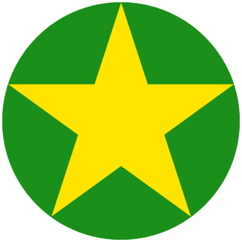 Chernarussian Defence Forces - DayZ Wiki