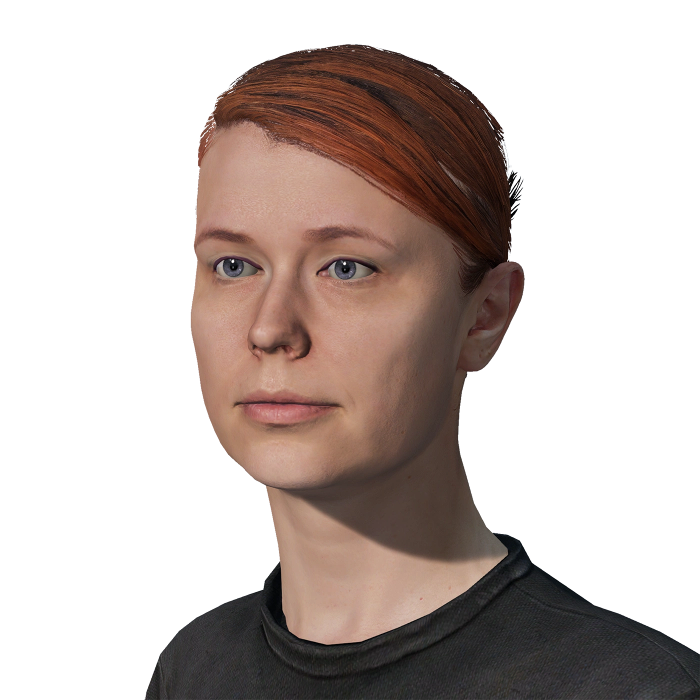 Survivors - DayZ Wiki