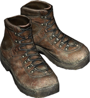 Hiking Boots - DayZ Wiki