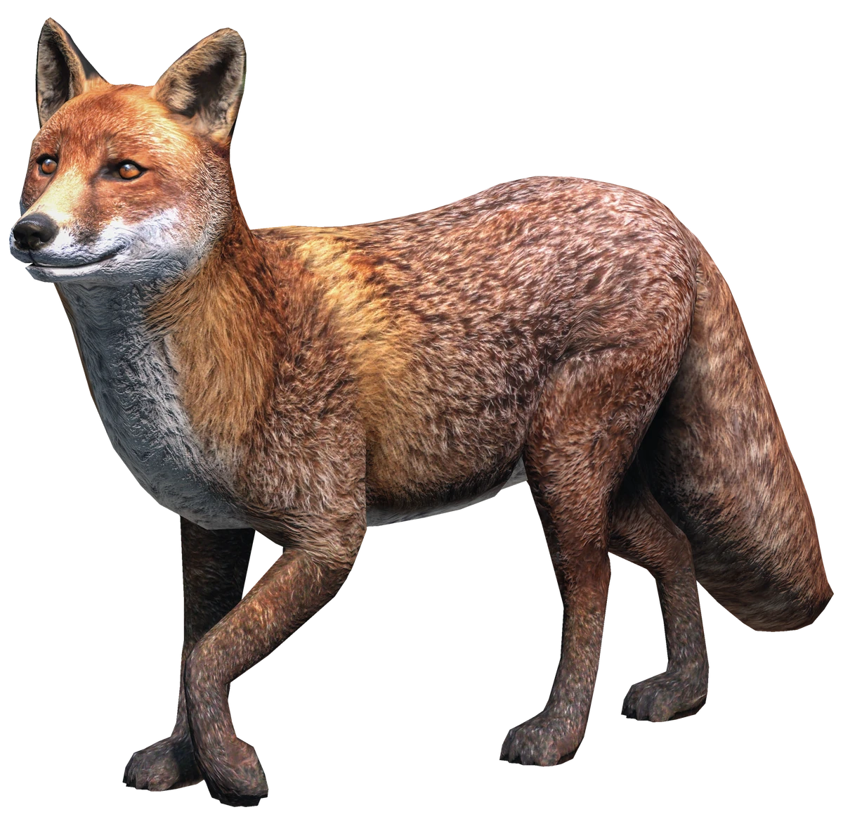 Fox - DayZ Wiki