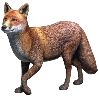 Fox - DayZ Wiki