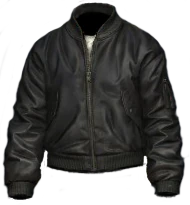 Bomber Jacket - DayZ Wiki