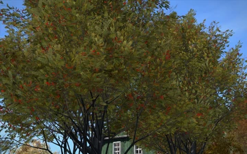 Vegetation - DayZ Wiki