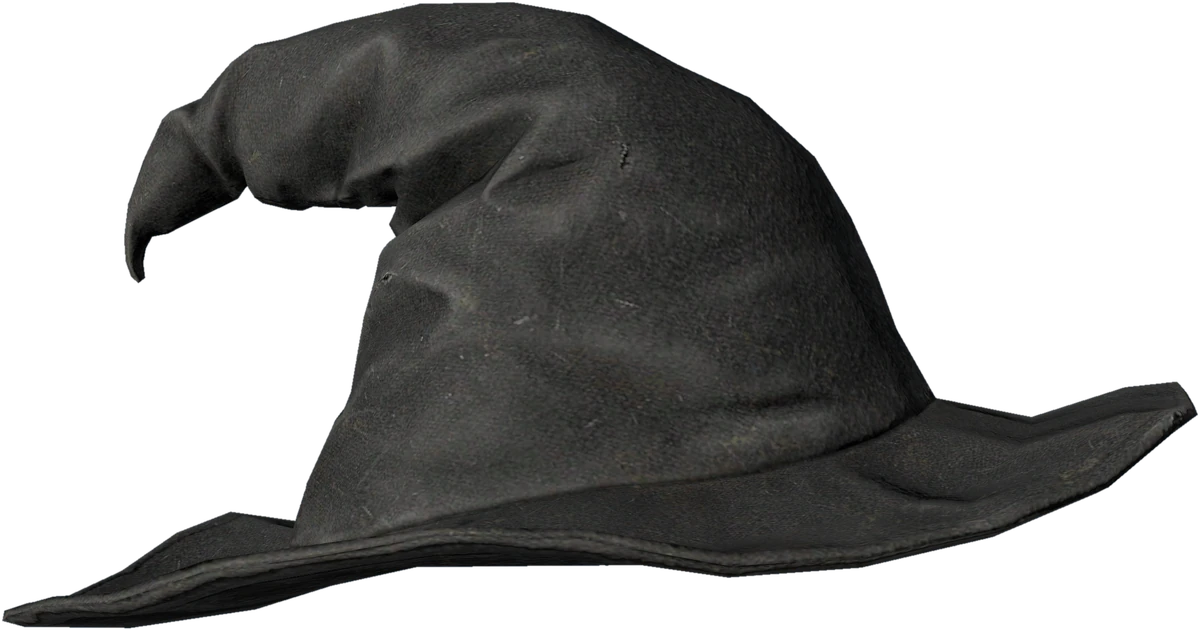 Witch Hat - DayZ Wiki