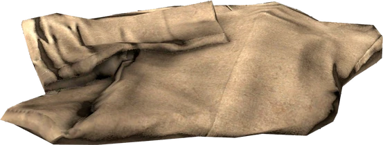 Womens Suit Jacket - DayZ Wiki