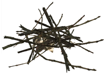 how to make fire in dayz standalone