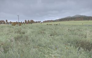 Mod:Novy Lug - DayZ Wiki
