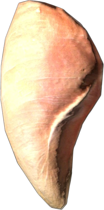 Chicken Steak - DayZ Wiki