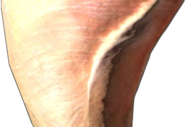 how to cook rice in dayz standalone