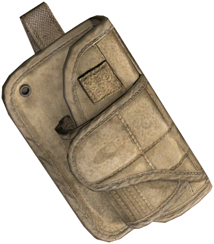 Holster - DayZ Wiki