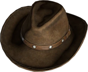 Cowboy Hat - DayZ Wiki