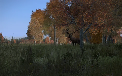 Stag - DayZ Wiki