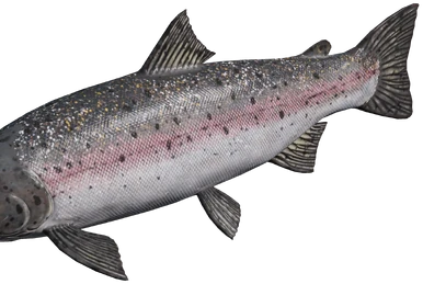 how to cook venison dayz