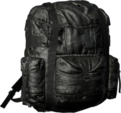 Field Backpack - DayZ Wiki