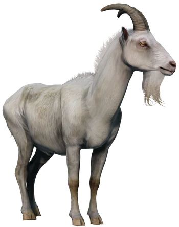 Goat - DayZ Wiki
