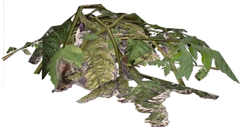 Plant Material - DayZ Wiki