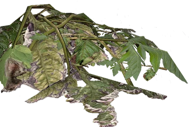 how to make garden lime dayz