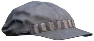 Prisoner Cap - DayZ Wiki