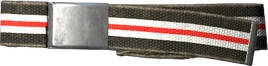 Belt - DayZ Wiki