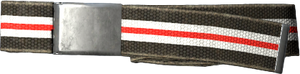 Belt - DayZ Wiki