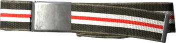 Belt - DayZ Wiki