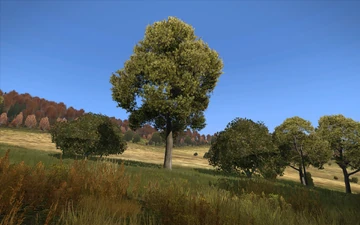 Vegetation - DayZ Wiki