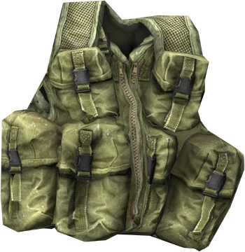 Field Vest - DayZ Wiki