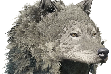 how to cook wolf meat dayz