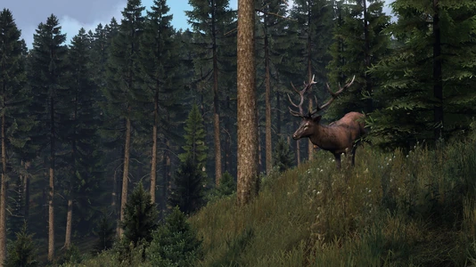 Stag - DayZ Wiki