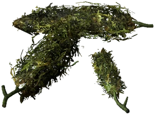 Cannabis - DayZ Wiki