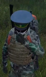 Influenza - DayZ Wiki