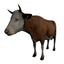 Cow - DayZ Wiki