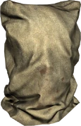 Burlap Sack - DayZ Wiki
